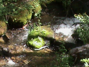 Camping/Fishing – Rio Costilla