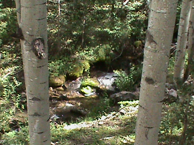 RioCostillaPark – Rio Costilla