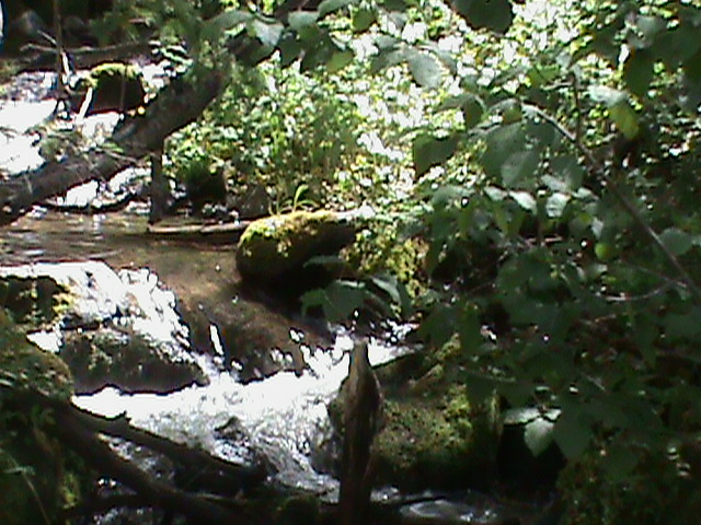 20181030_155505 – Rio Costilla