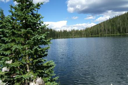 Rio Costilla Rules – Rio Costilla